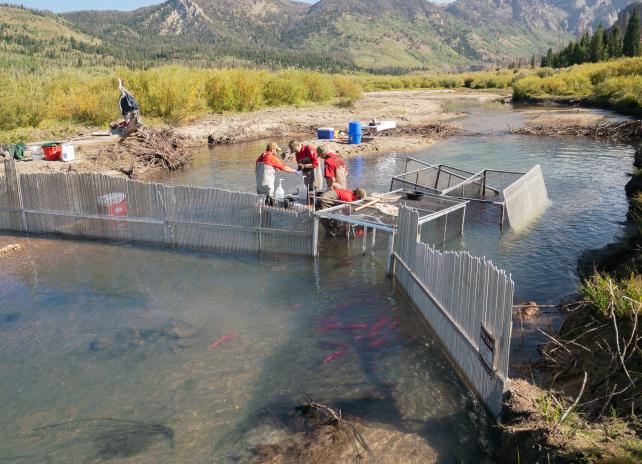 Fish Hatcheries | Wyoming Game & Fish Department